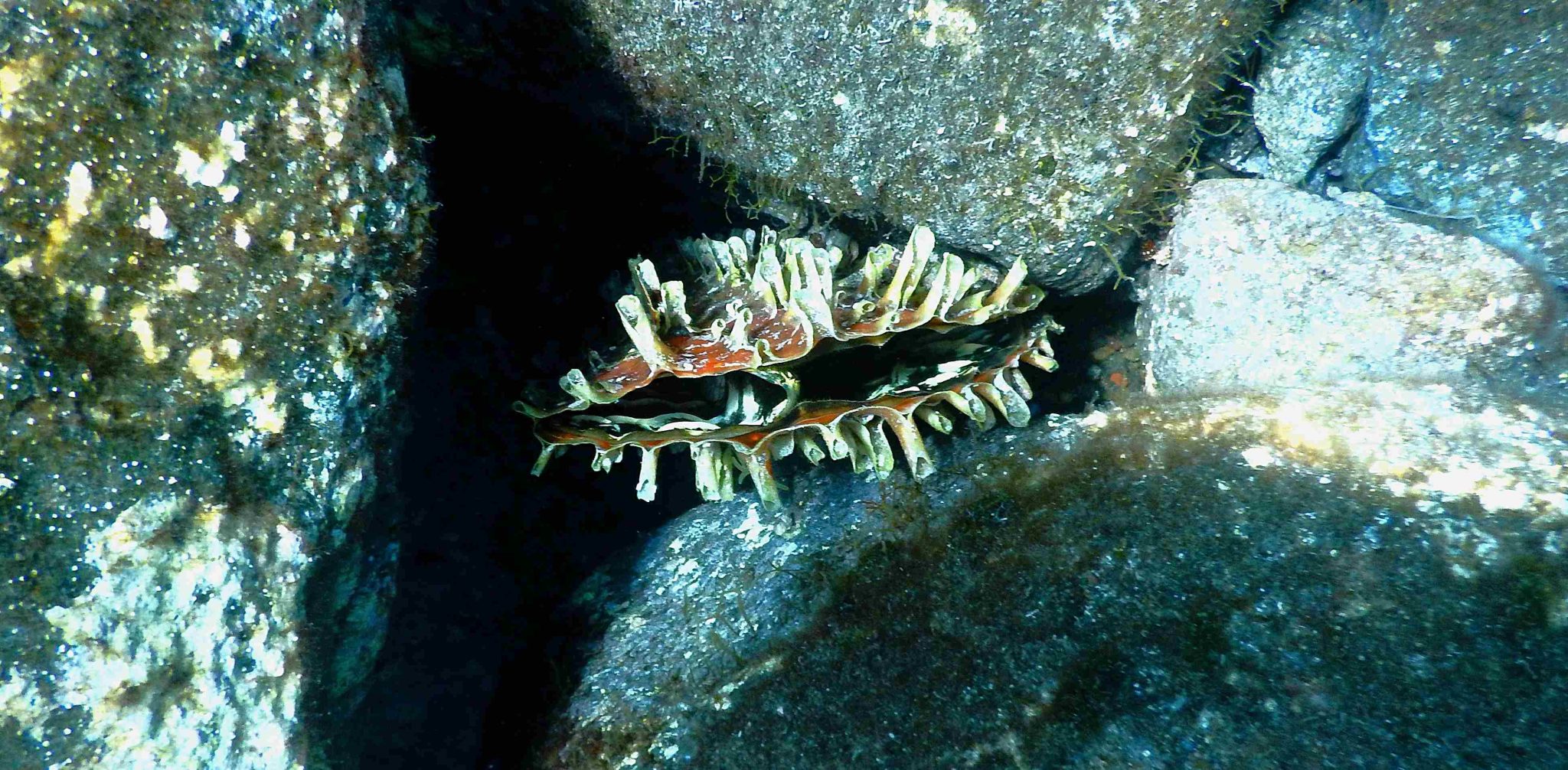 News Flash 638: Weekly Snapshot of Public Health Challenges – PEAH ...